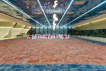 Service and Installations |Pandora stretch ceiling